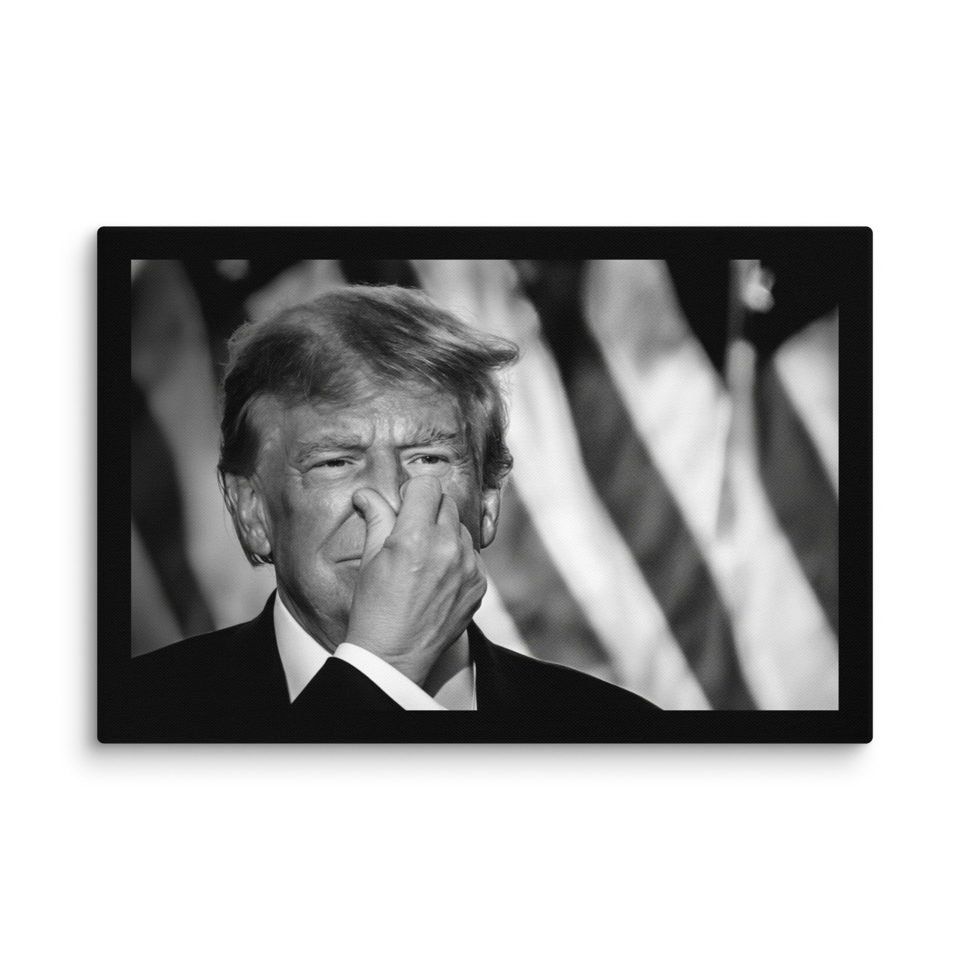 Donald Trump Stink Face Canvas Wrap – Stink Face Designs